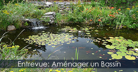 Aménager un Bassin Extérieur ou Jardin d'eau - Entrevue Vidéo Conseils
