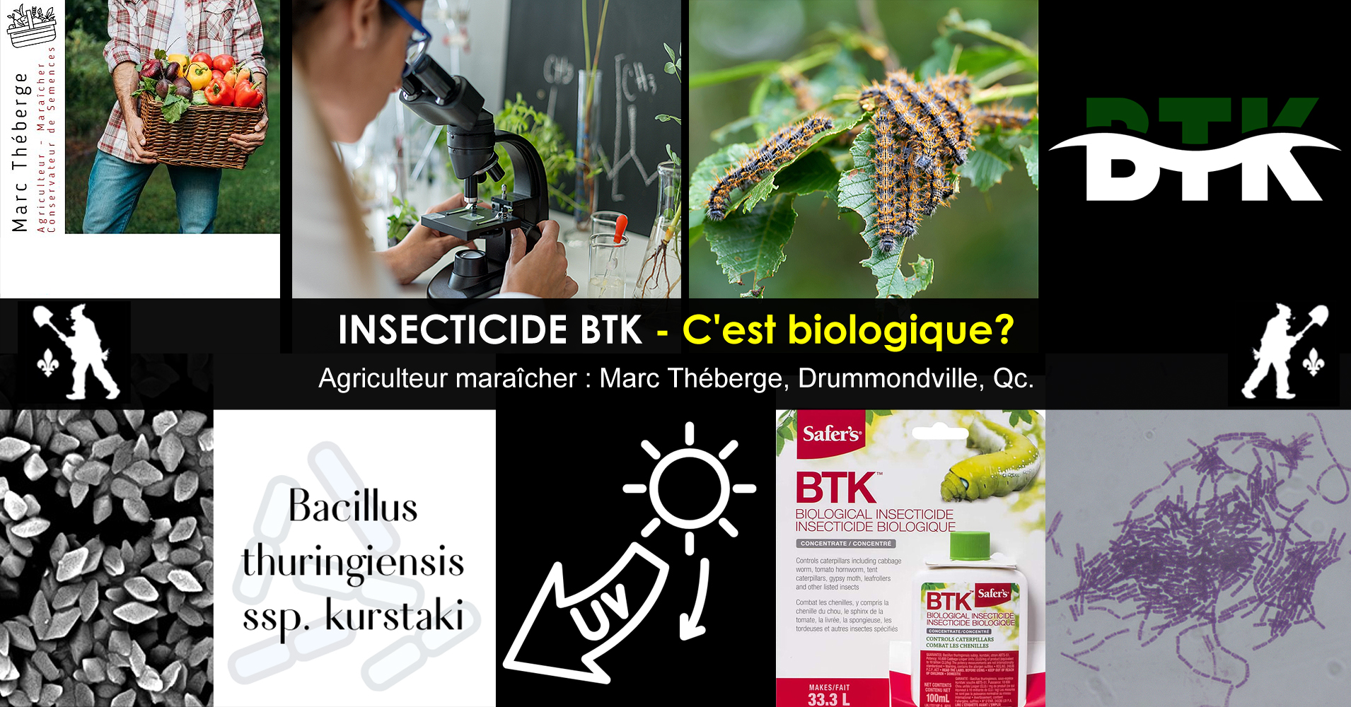 Le BTK un Insecticide Biologique?