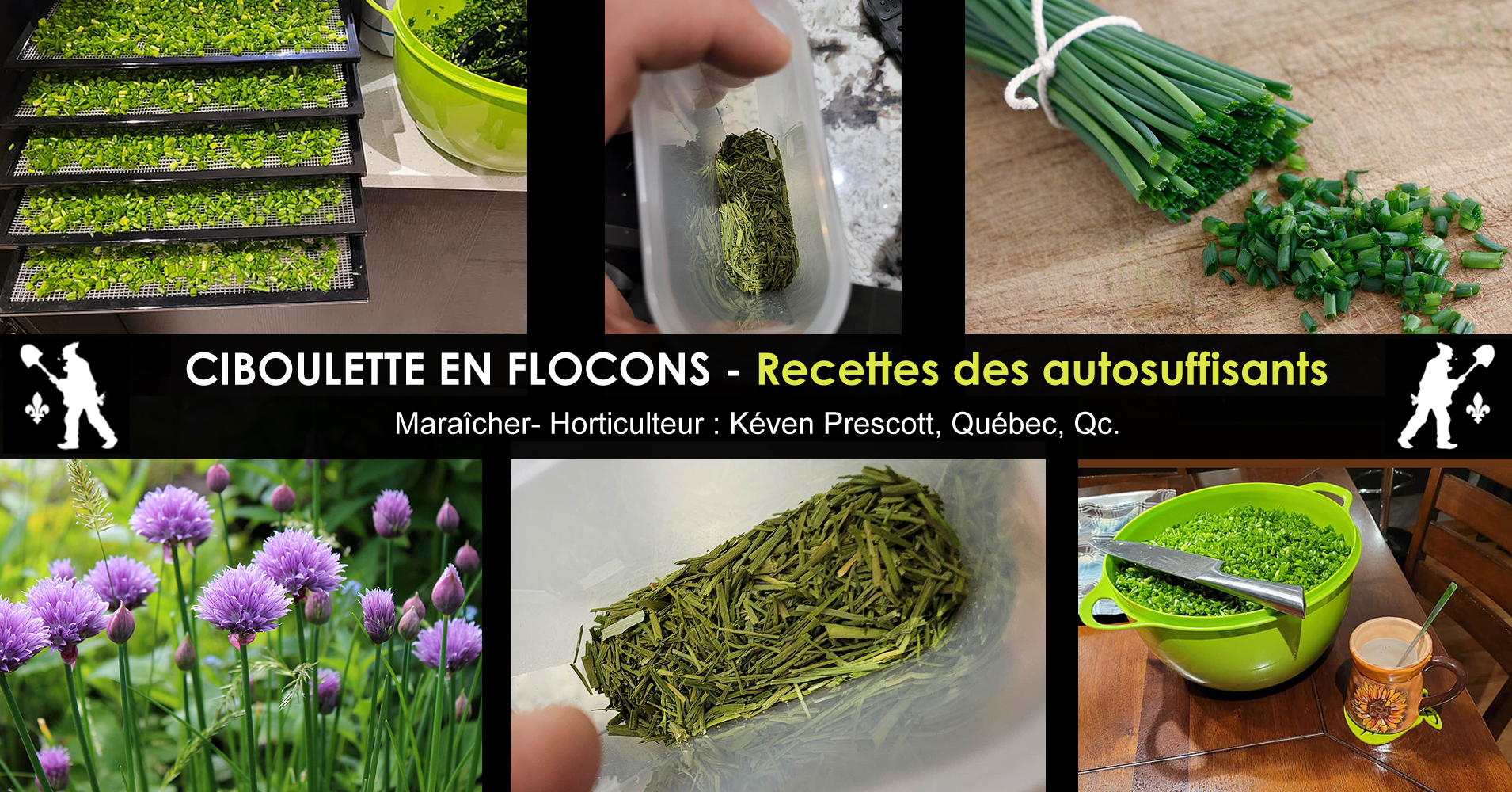 Ciboulette en Flocons - Recettes des Autosuffisants