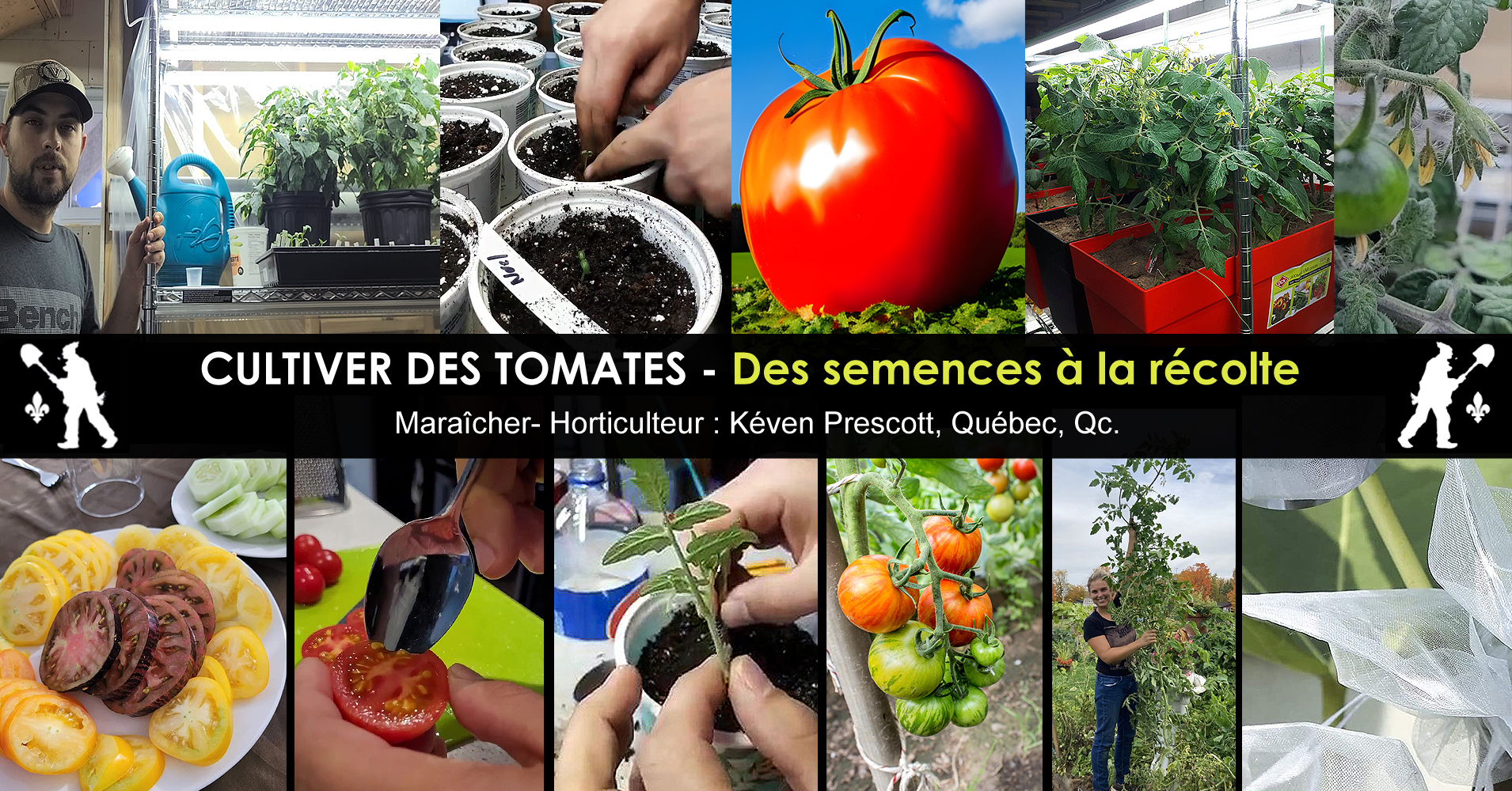 Cultiver des Tomates - Guide de Culture de la Semence à la Récolte