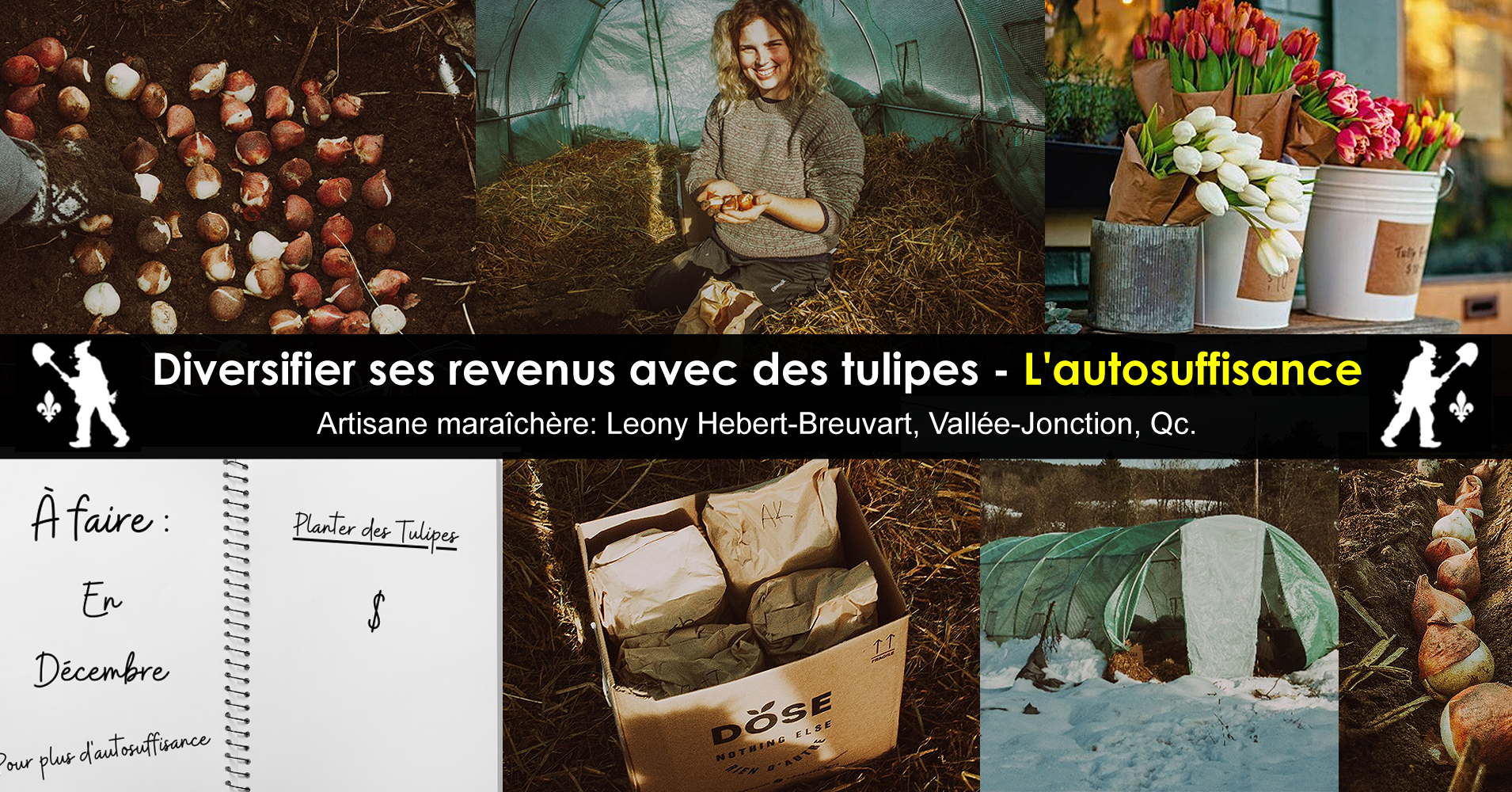 Diversifier ses Revenus avec les Tulipes - Trucs d'Autosuffisance