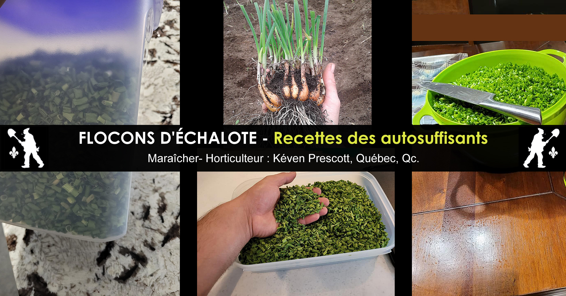 Flocons d'Échalote - Recettes des Autosuffisants
