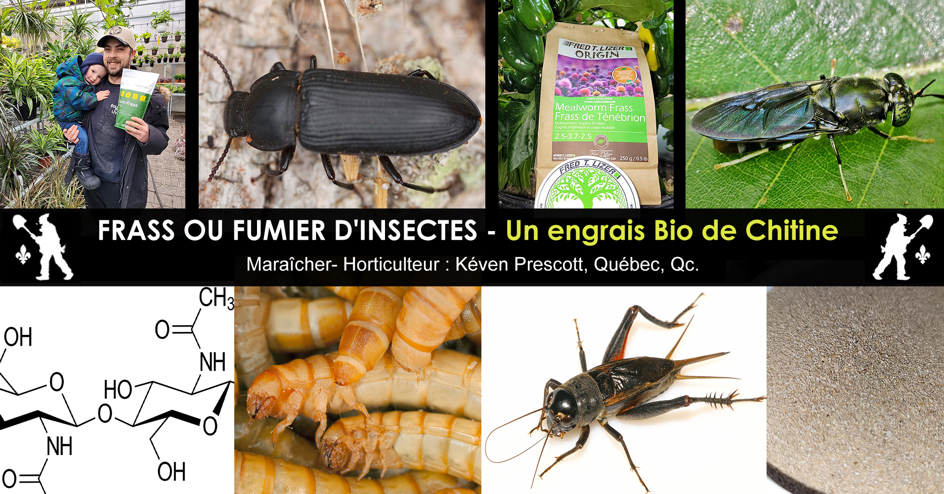 Le Fass ou Fumier d'Insectes - Un Engrais Bio qui contient de la Chitine