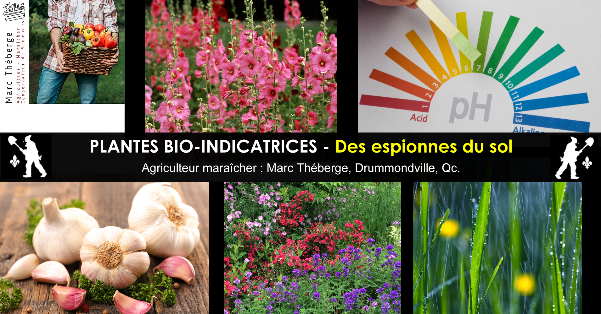 Plantes Bio-Indicatrices - Les Espionnes des Sols