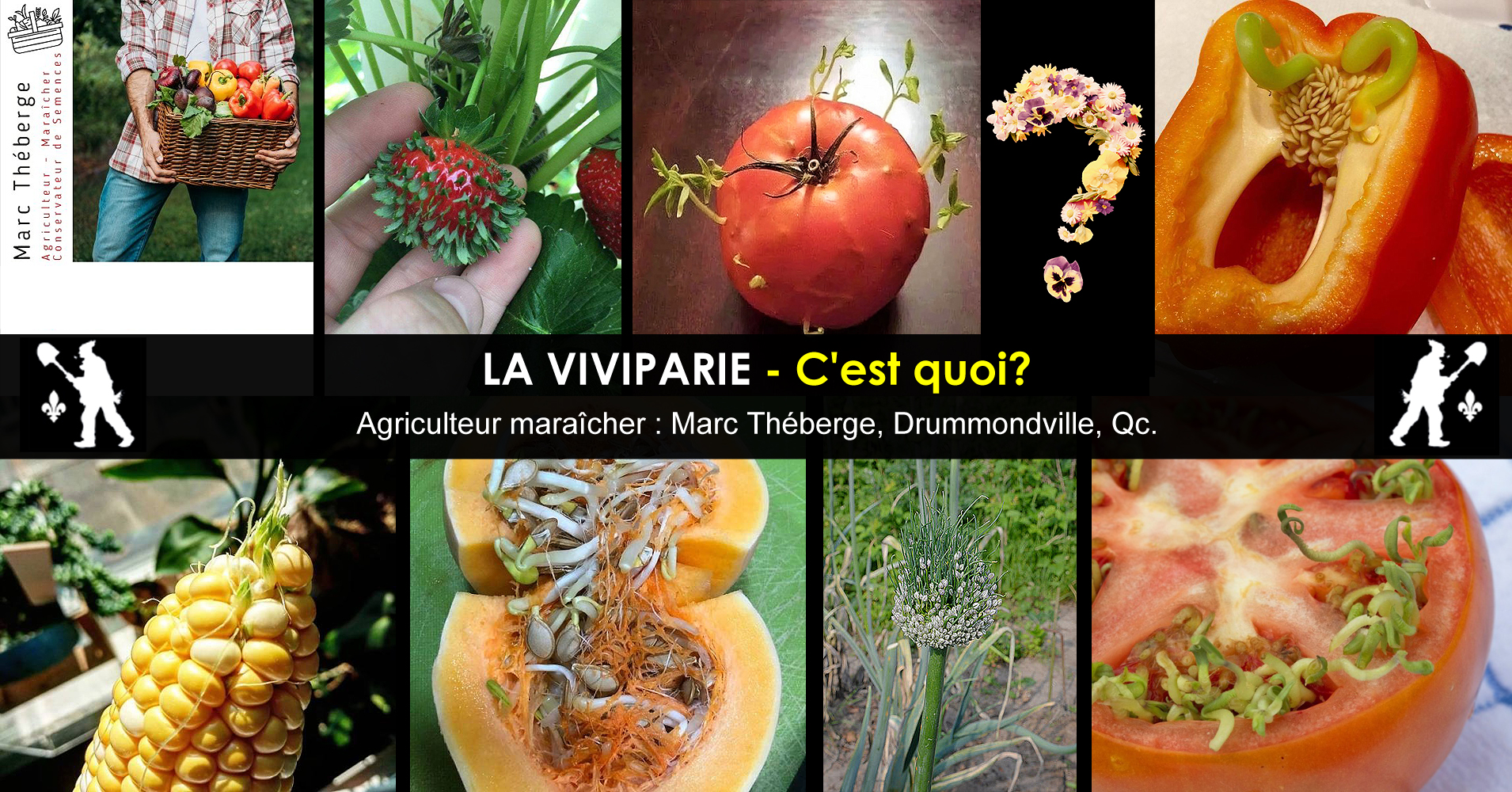 La Viviparie C'est quoi?