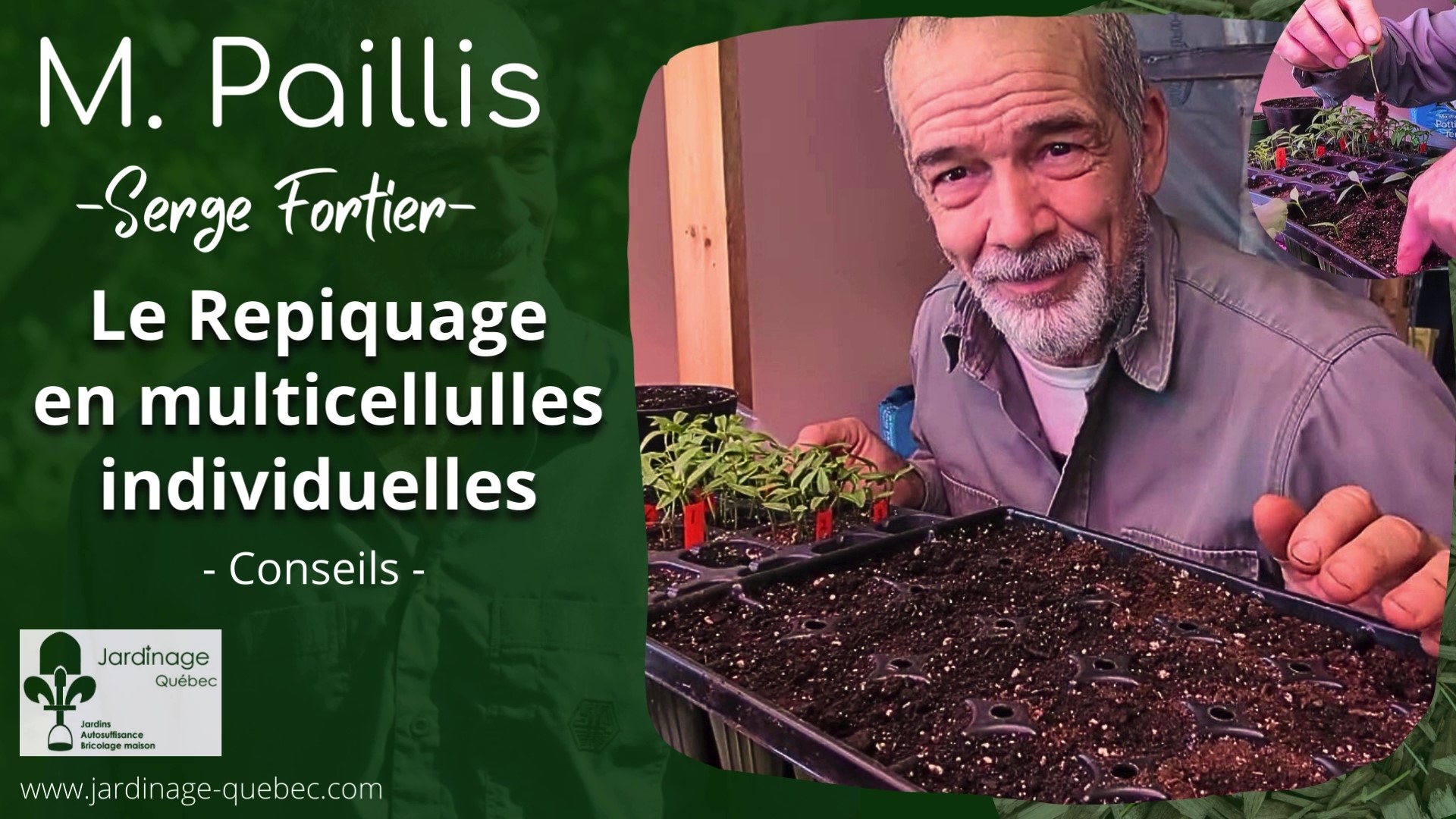Repiquer en Multicellules Individuelles - Conseils de Serge Fortier EPCC